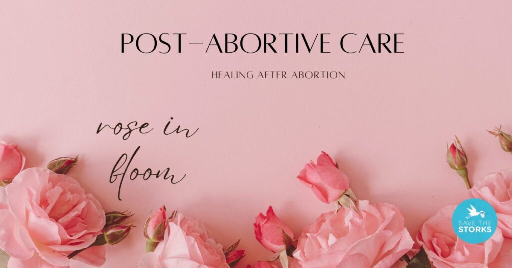 Post-Abortive Care: Healing After an Abortion - Save the Storks