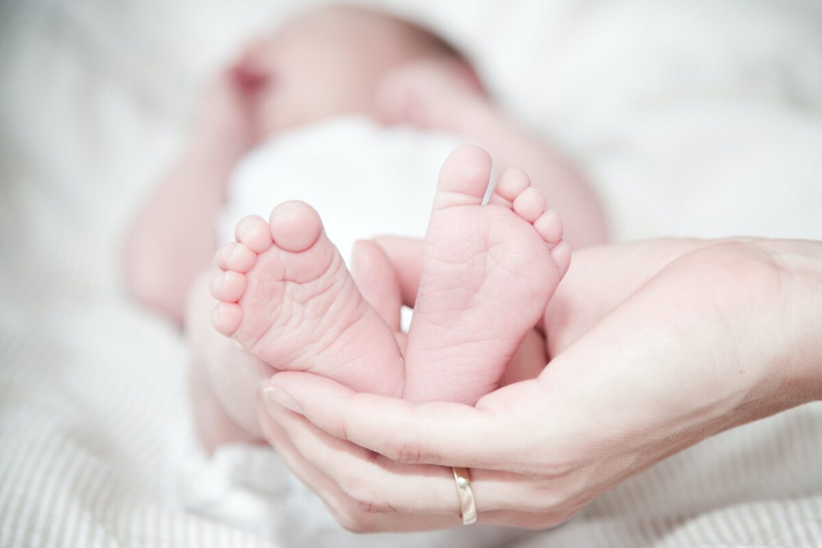 The Definition of Pro-Life - Save the Storks